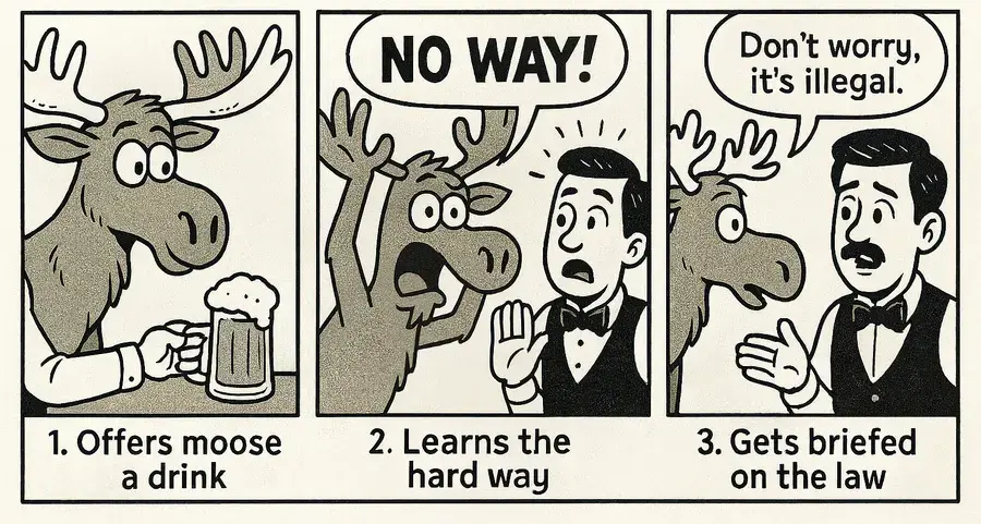 Don’t Buy That Moose a Drink: Why It’s Illegal to Serve Alcohol to ...